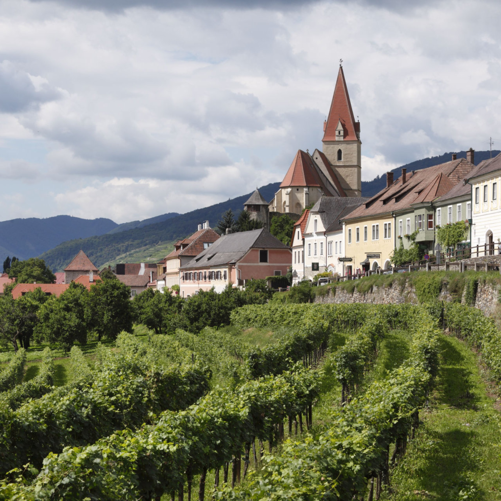 Buy Wines from Austria – Triangle Wine Company