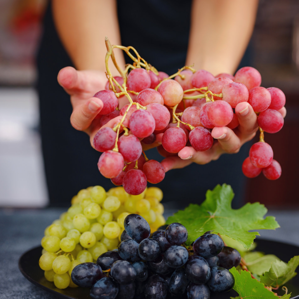 Organic – Triangle Wine Company