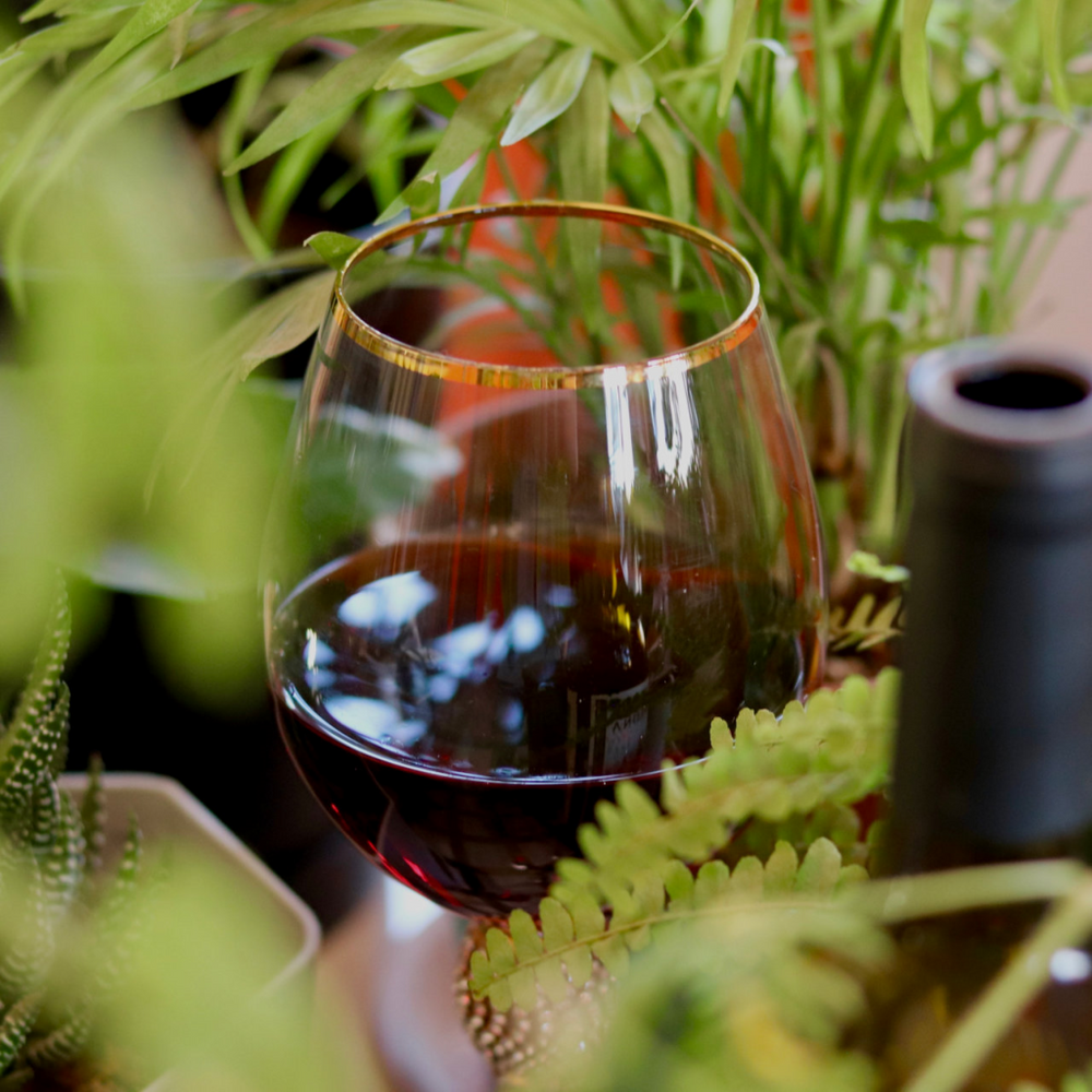 Fine Wine and Beer Store | Buy Online | Local Delivery – Triangle Wine ...