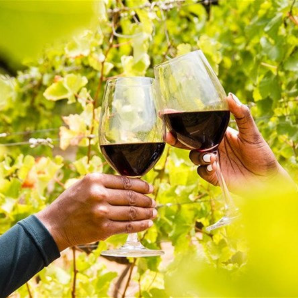 Buy South African Wine – Triangle Wine Company